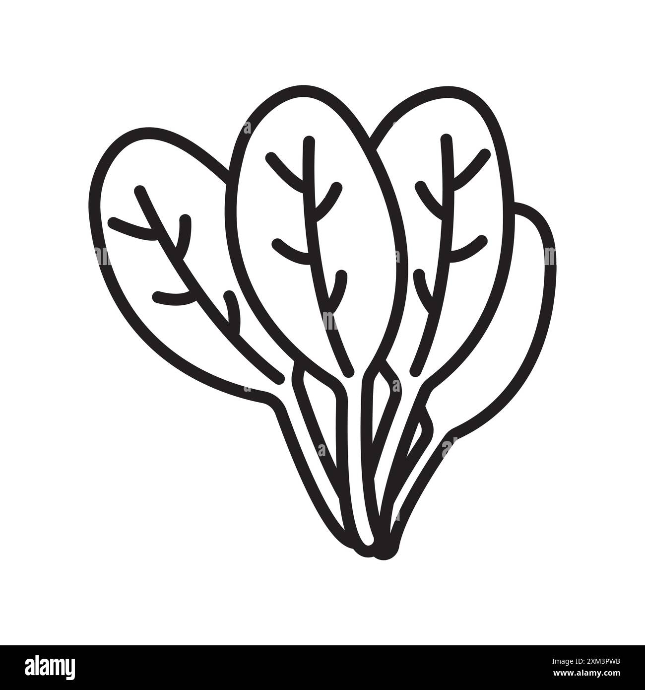 spinach icon Black line art vector in black and white outline set collection sign Stock Vector ...