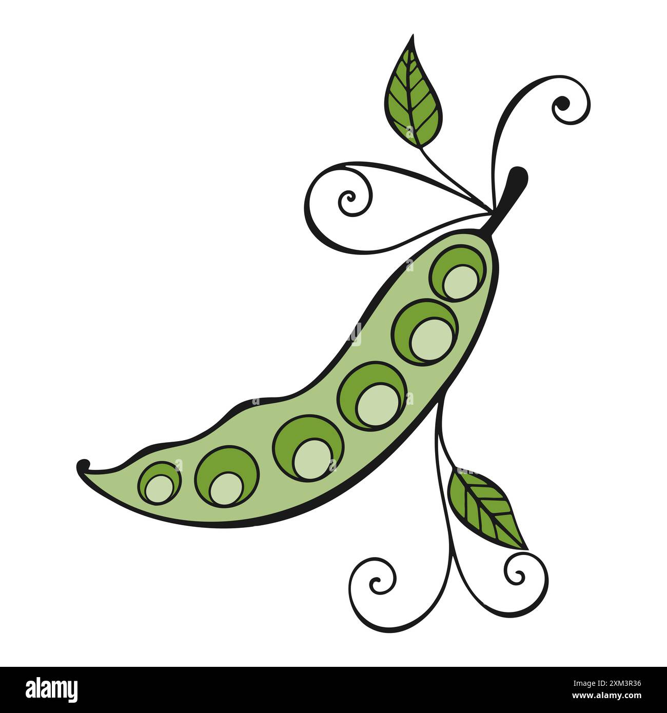 Green pea pod doodle drawing, isolated on white background. Vector ...