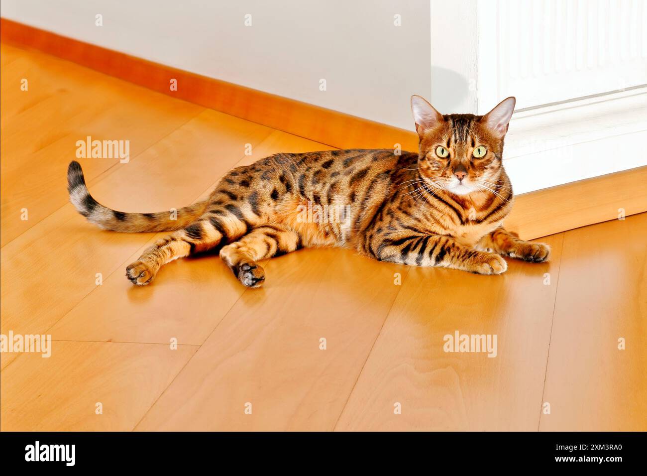 In der ecke hi-res stock photography and images - Alamy