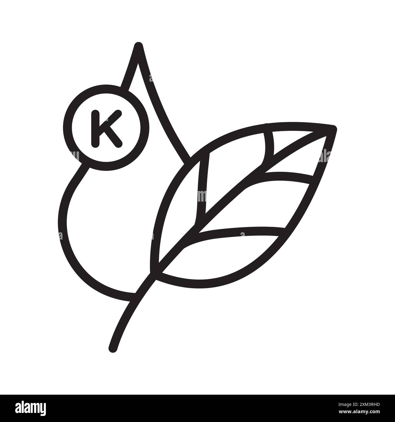 Vitamin K icon Black line art vector in black and white outline set ...