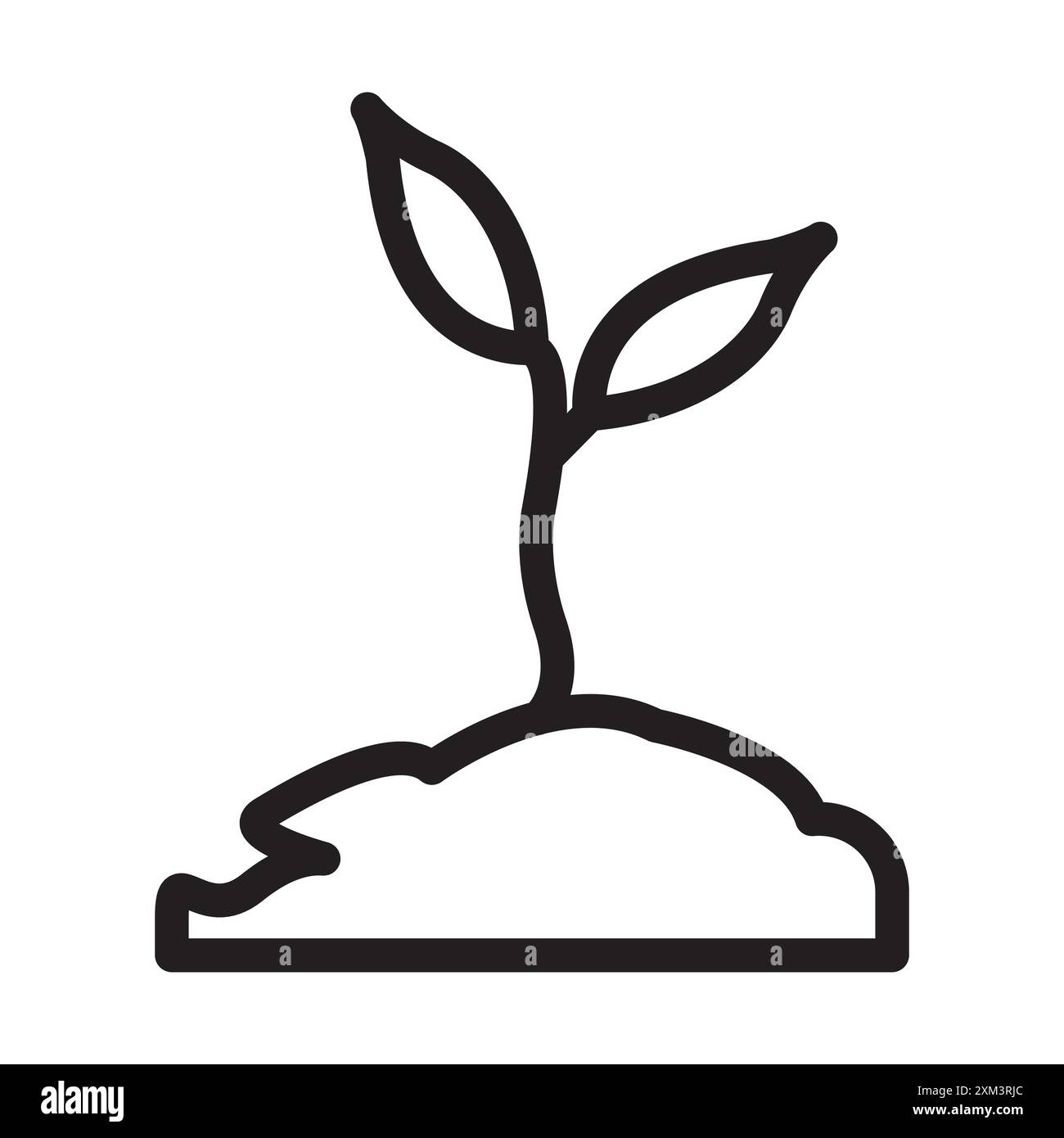 Young sprout icon Black line art vector in black and white outline set ...