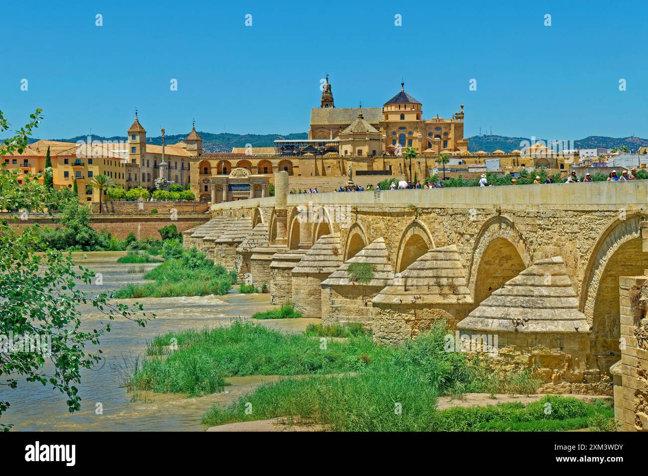 The Roman Bridge and Cathedral at Cordoba, Spain Stock Photo - Alamy