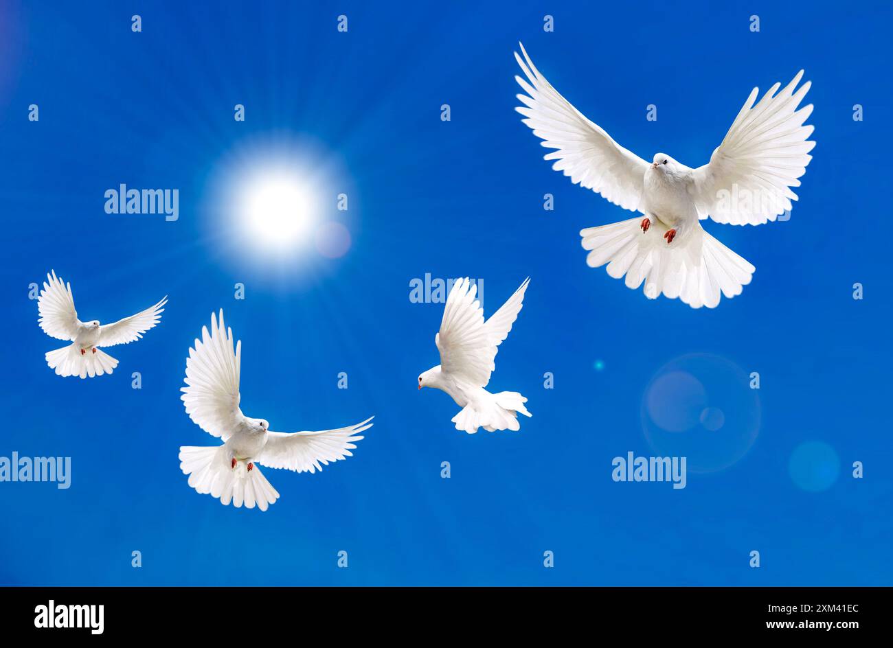 Peace zeichen welt frieden hi-res stock photography and images - Alamy