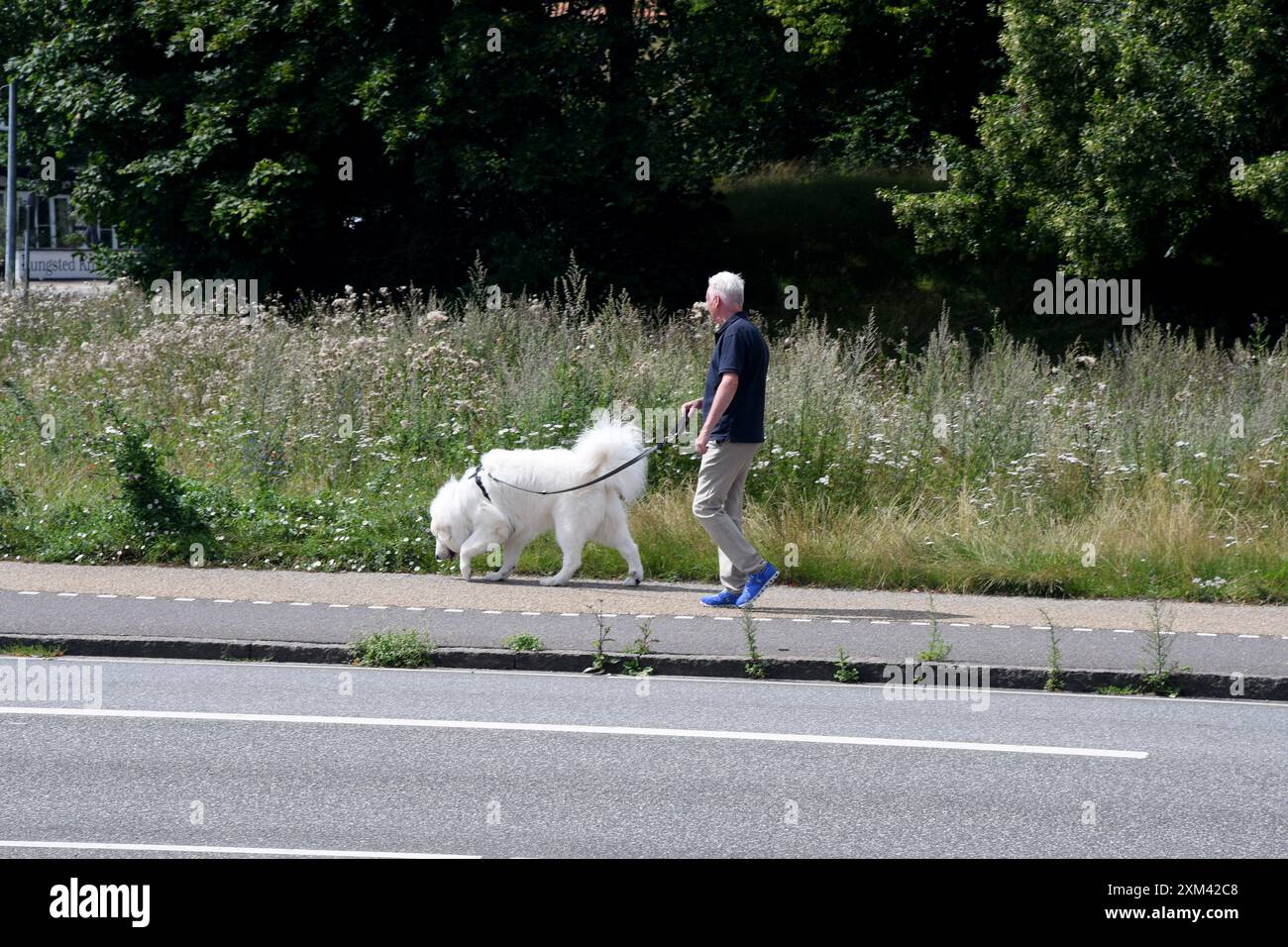 Human and naiumal hi-res stock photography and images - Alamy
