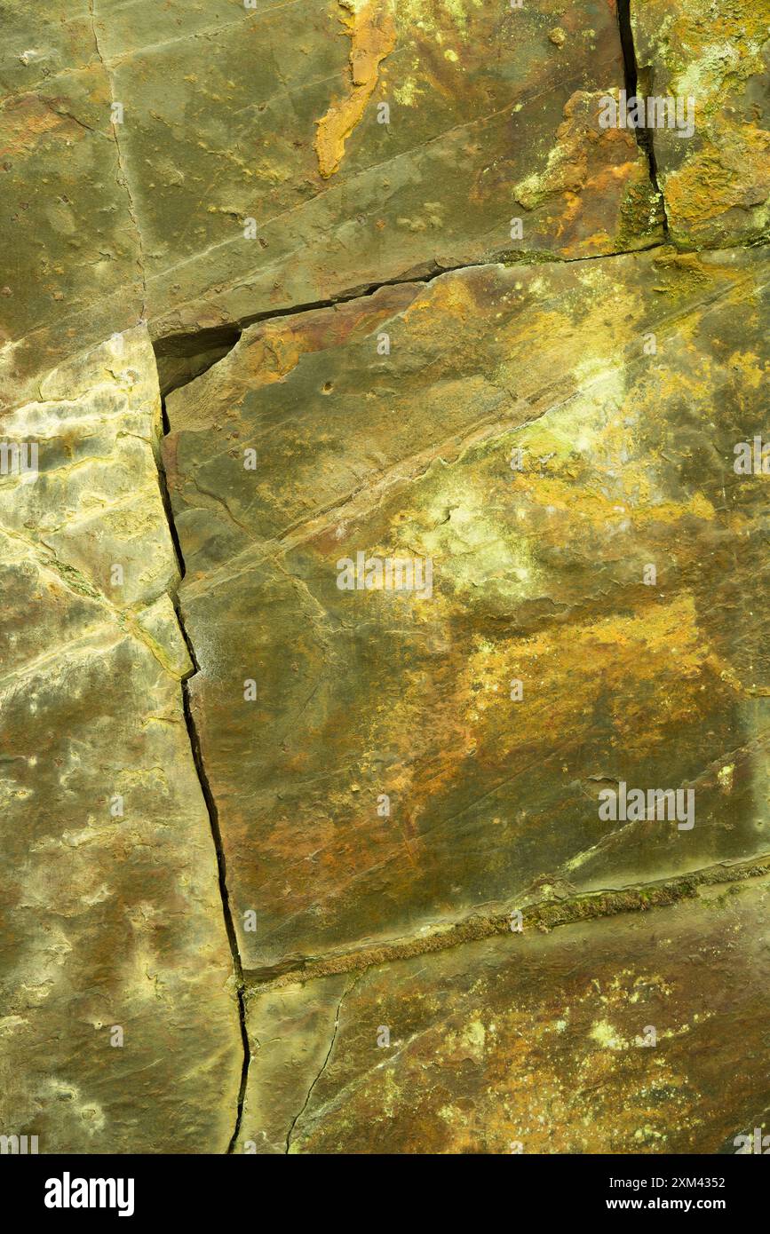 Silver birch tree glencoe scotland hi-res stock photography and images ...