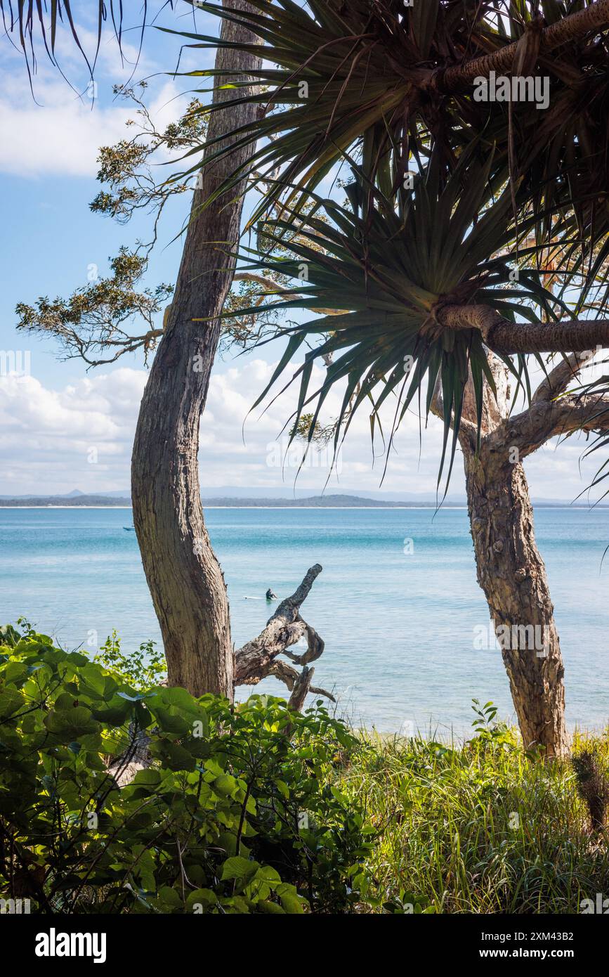 Trees frame the view on a hike at Noosa National Park, overlooking the ...