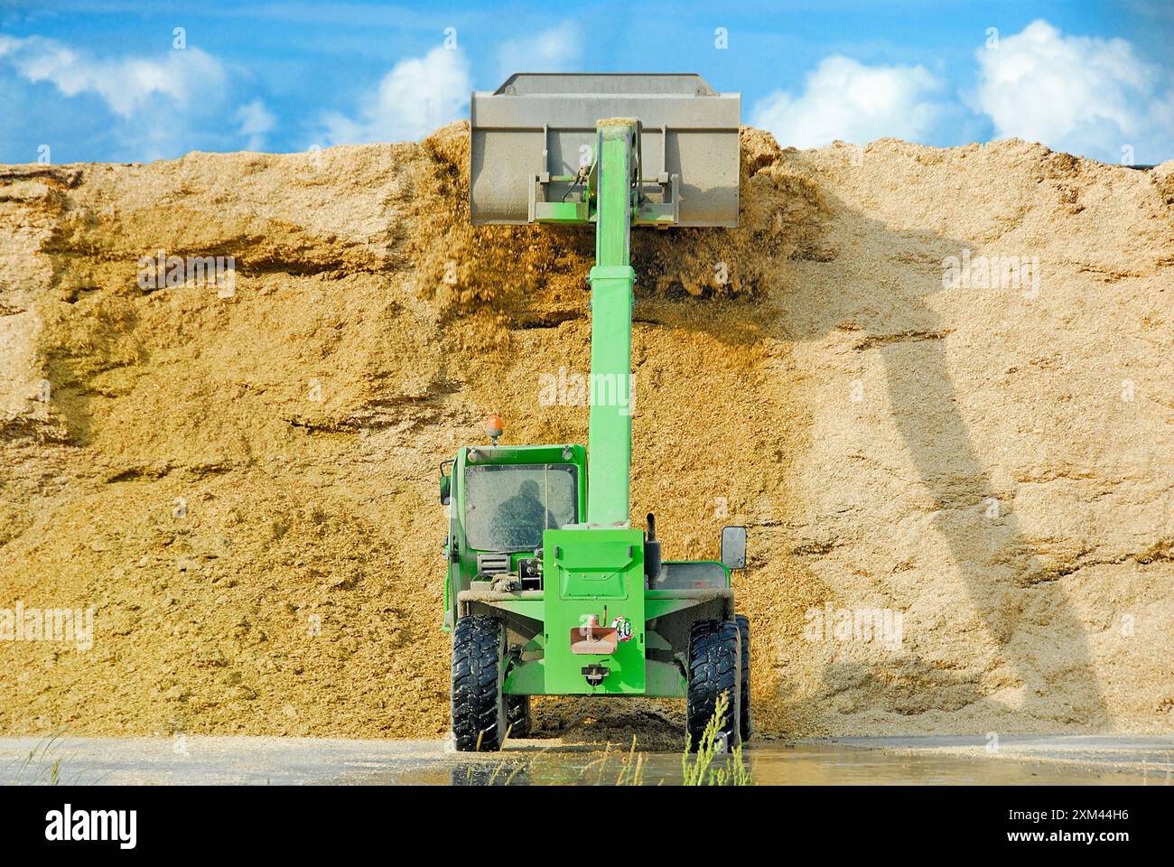 Front loader in front of a maize chaff depot Stock Photo - Alamy