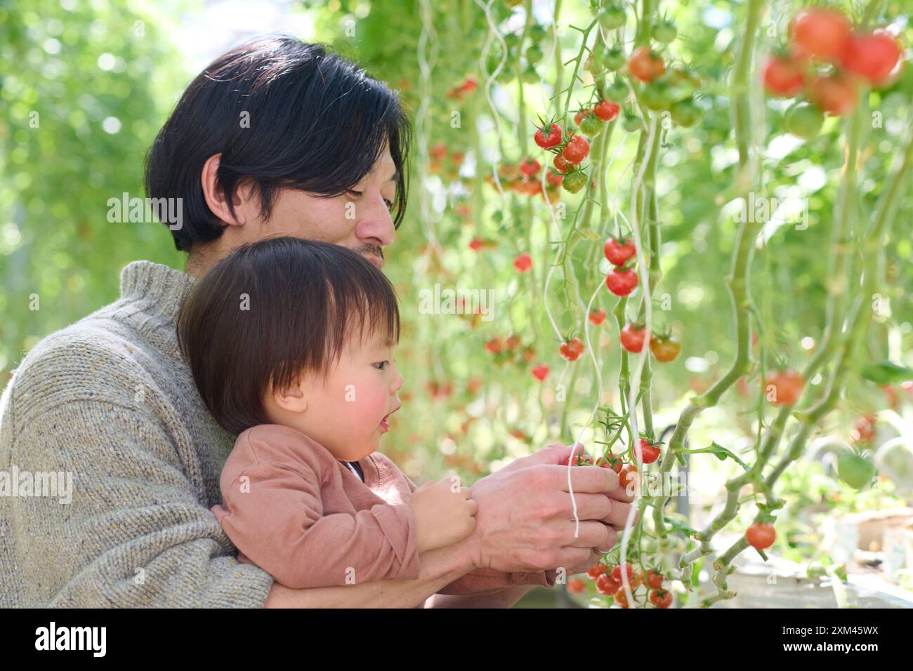 Parent picking up children hi-res stock photography and images - Alamy