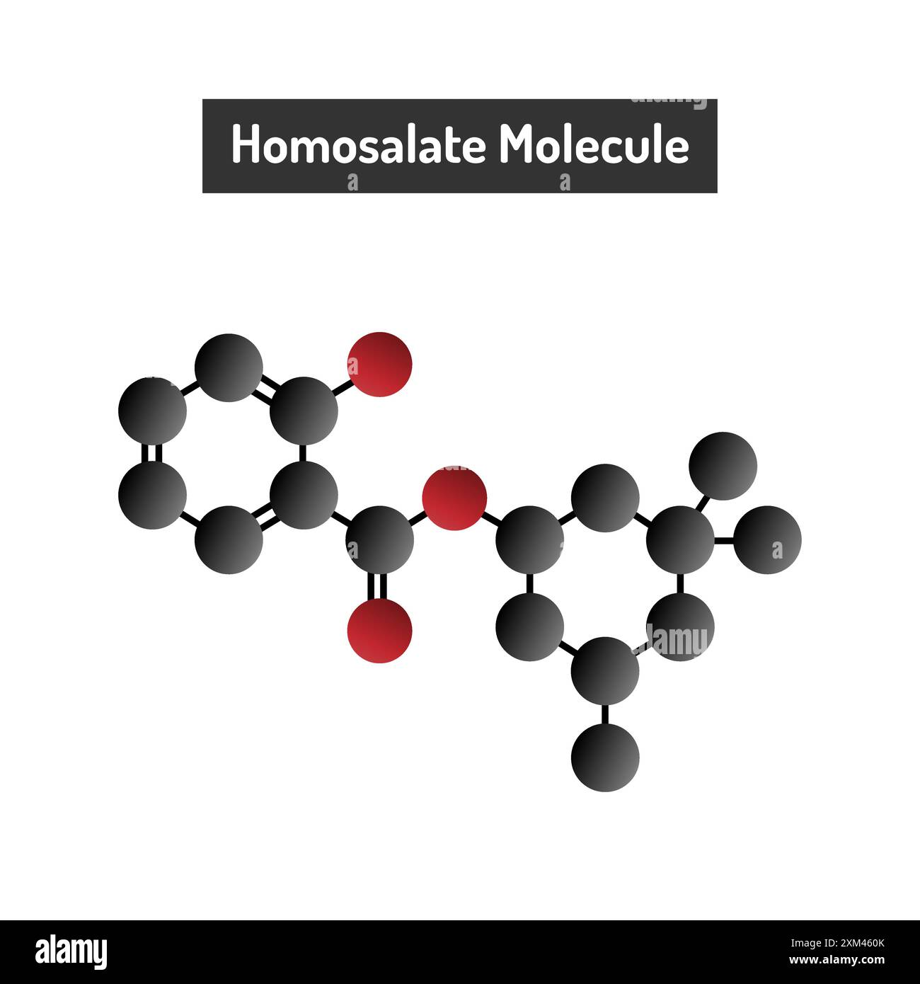 Homosalat Stock Vector Images - Alamy