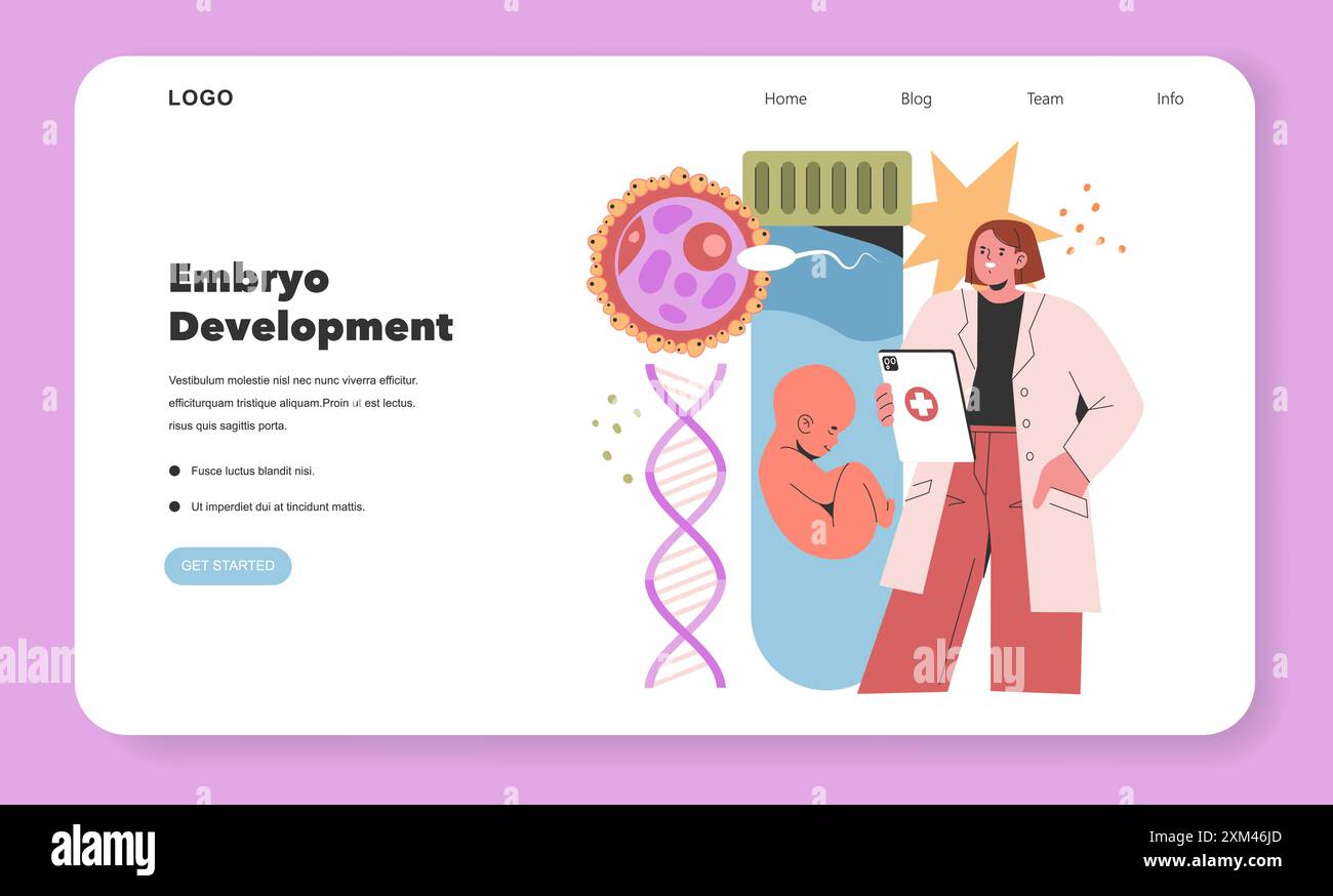 Embryo development stages hi-res stock photography and images - Alamy