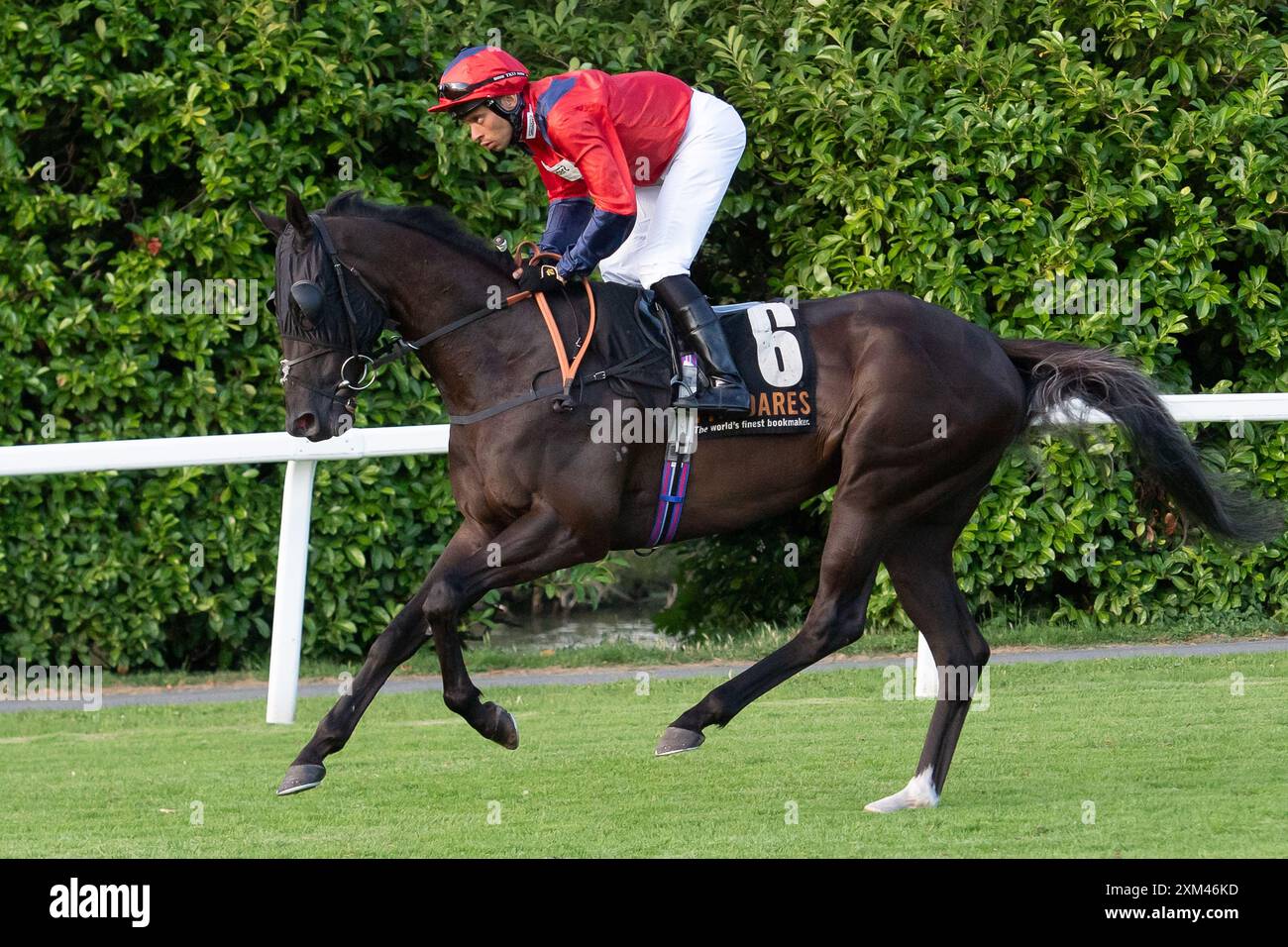 Owner fitorfat racing 1 hi-res stock photography and images - Alamy