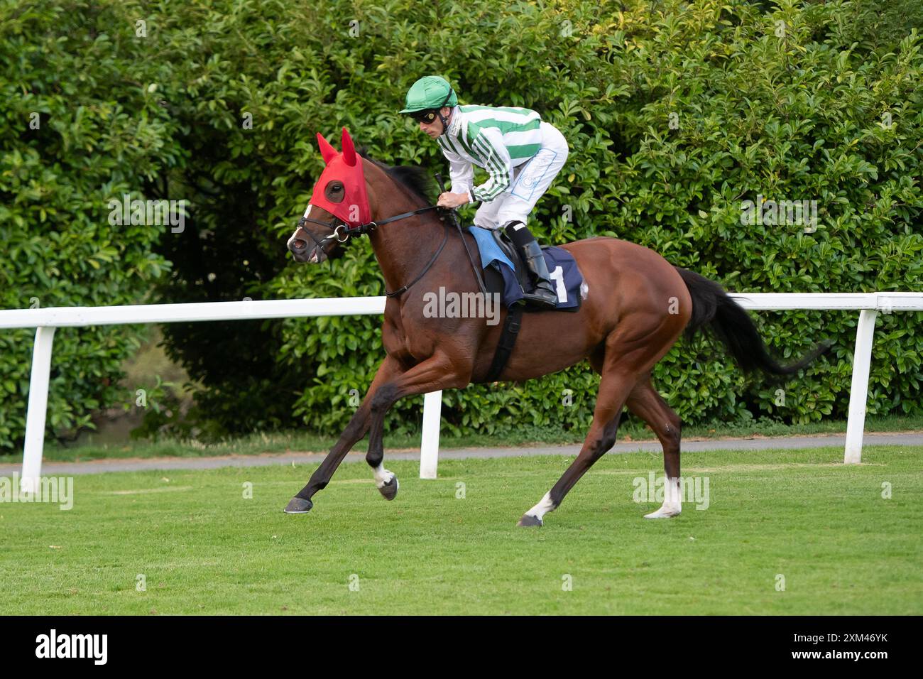 thoroughbred studs uk