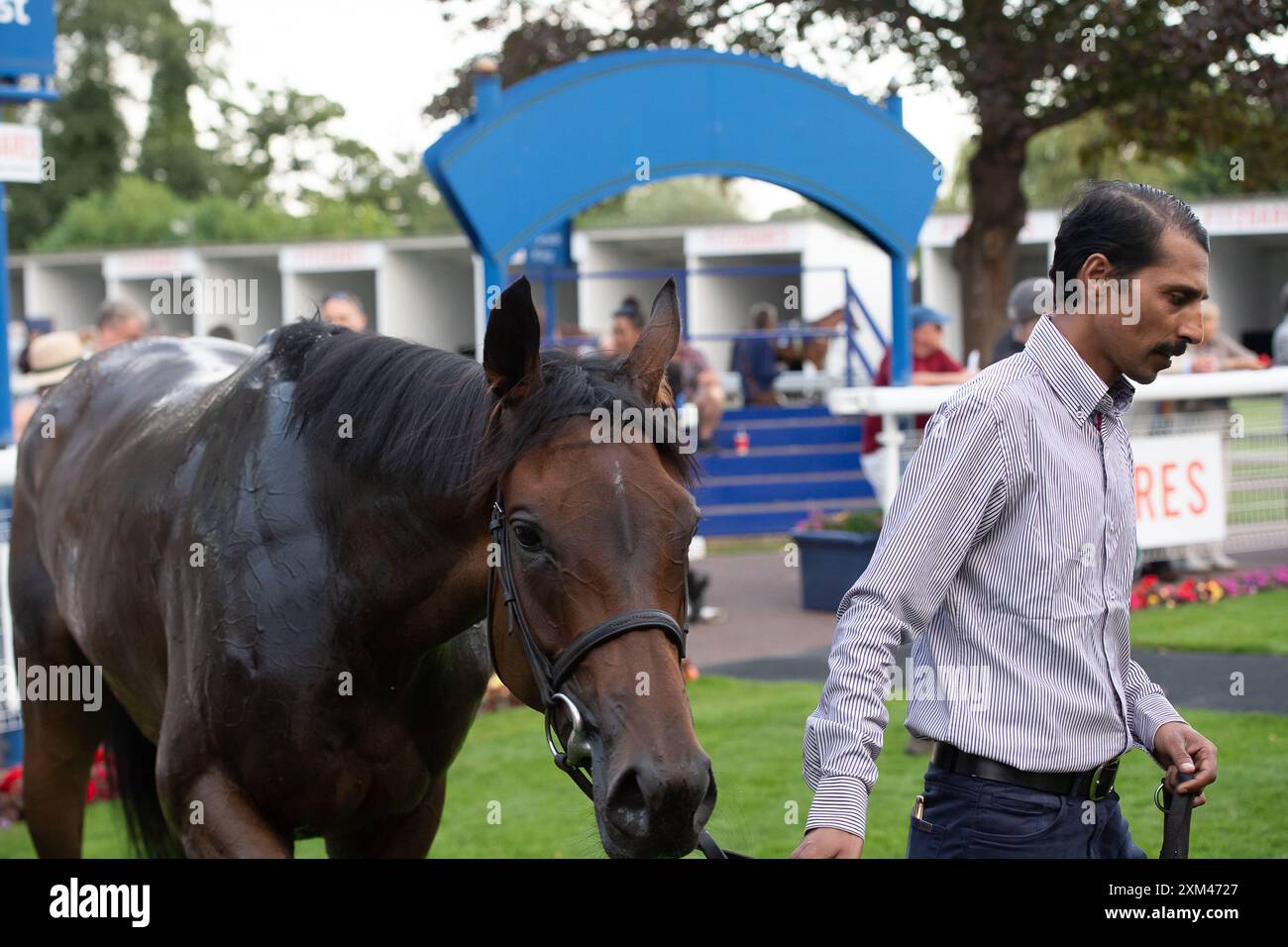 Owner crager hi-res stock photography and images - Alamy