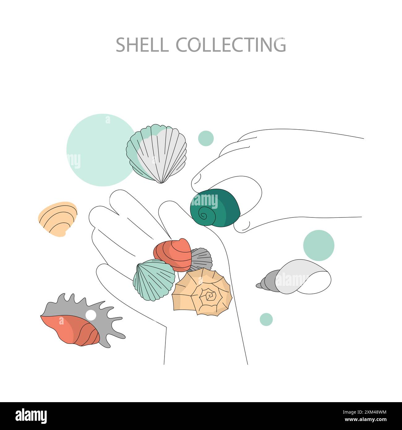 Collecting shell Stock Vector Images - Alamy