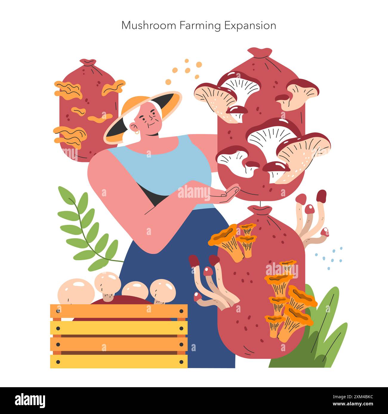 Mushroom Cultivation concept. A farmer showcasing various edible fungi ...