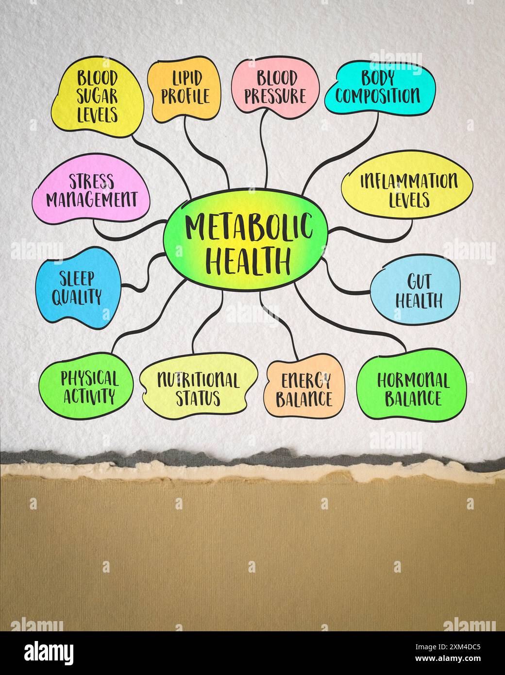 components and factors affecting metabolic health, infographics mind map sketch Stock Photo - Alamy
