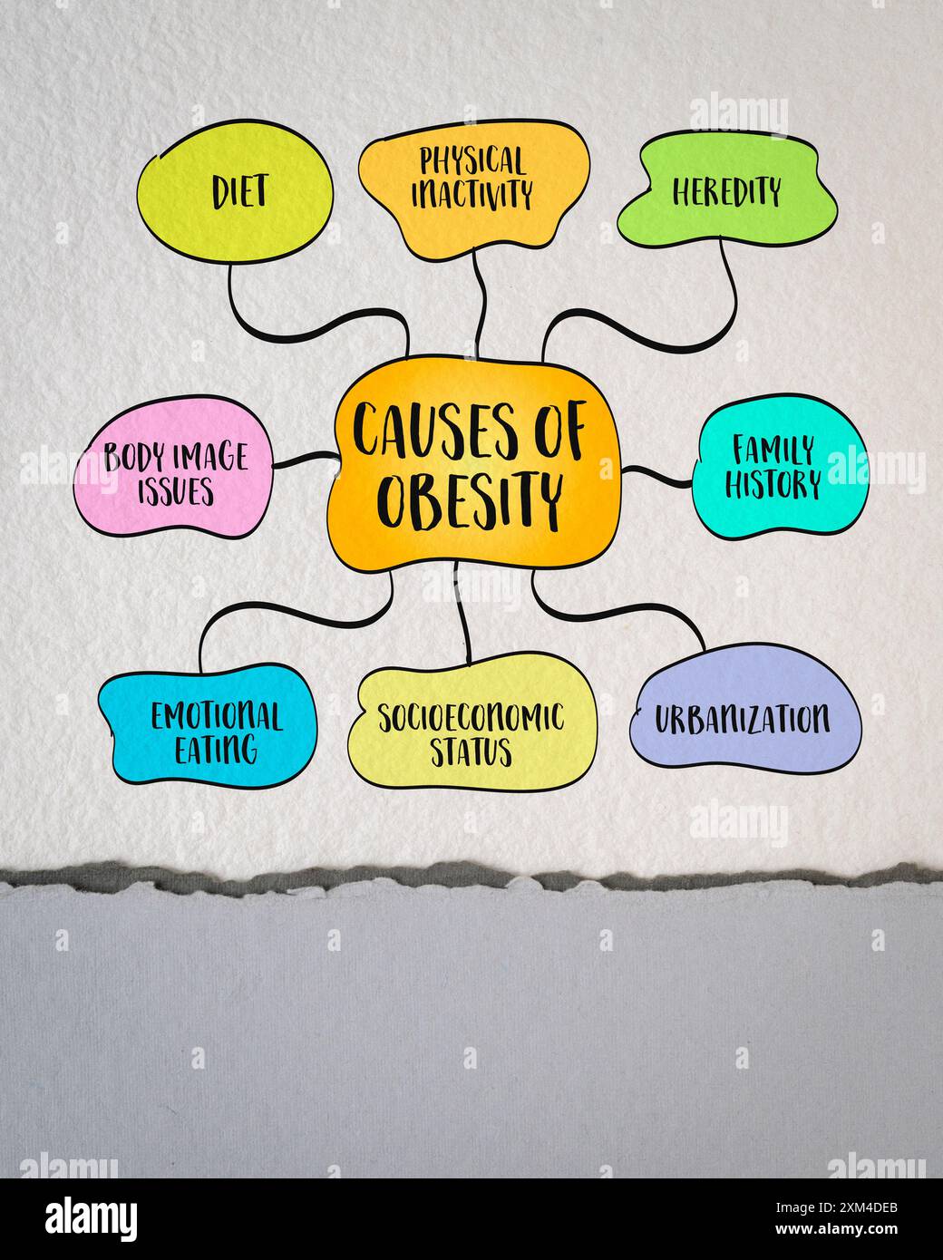 lifestyle, genetic, environmental and pychological causes of obesity ...