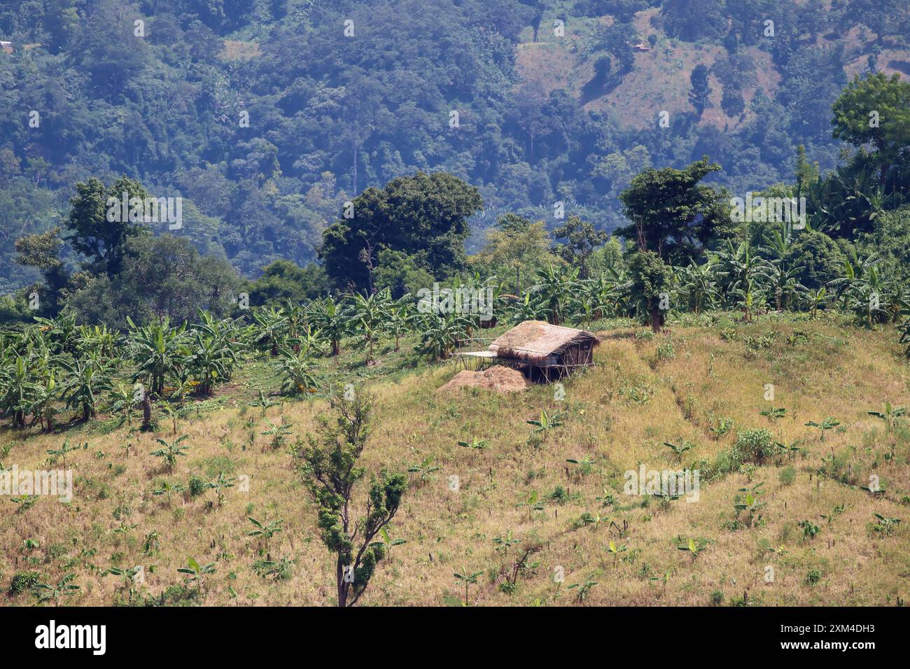Landscape of Chittagong Hill Tracts.this photo was taken from Bandarban ...