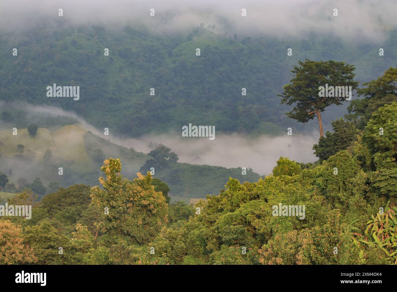 Landscape of Chittagong Hill Tracts.this photo was taken from Bandarban ...