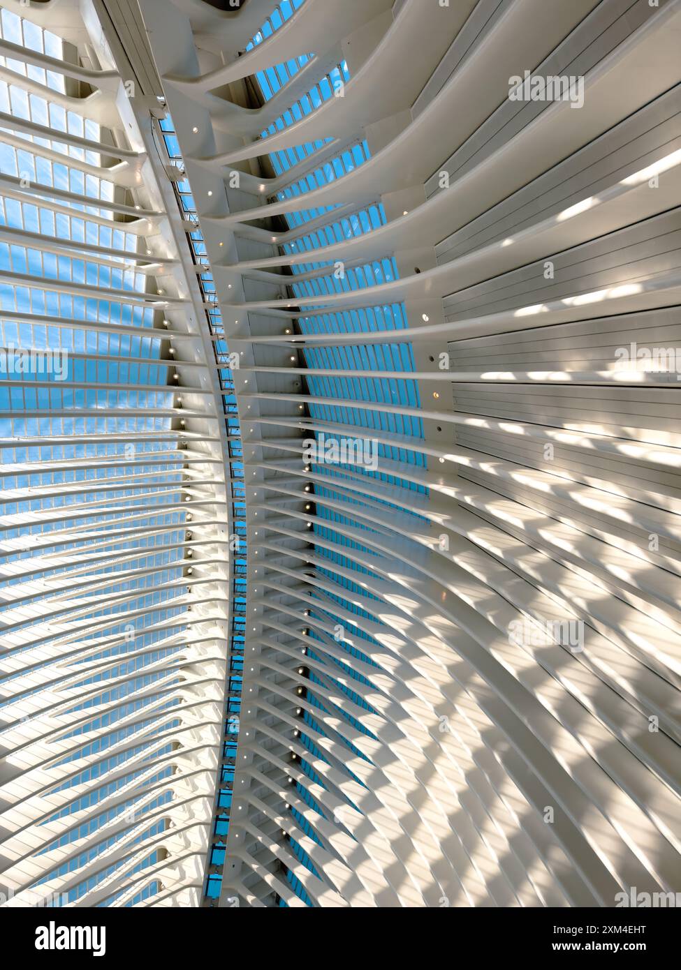 Interior design and patterns hi-res stock photography and images - Alamy