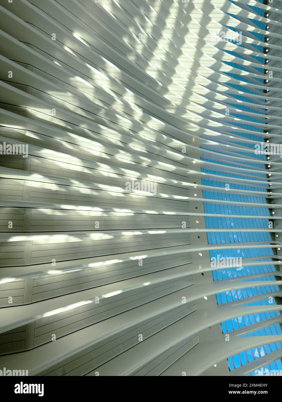 Interior view of a modern building with curved structural elements ...