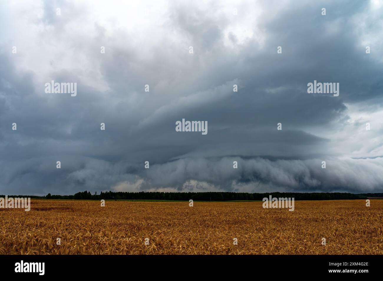 Storm Clouds over Field, Tornadic Supercell, Extreme Weather, Dangerous ...