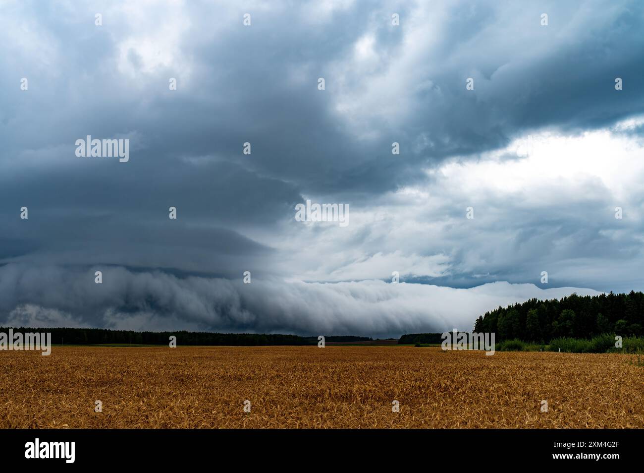 Storm Clouds over Field, Tornadic Supercell, Extreme Weather, Dangerous ...