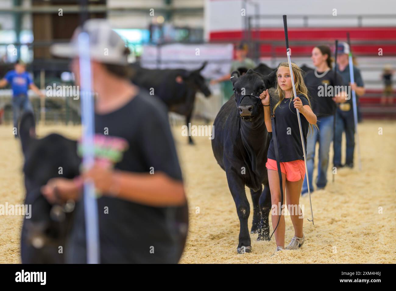 Young people tending their animal at the California Mid-State Fair ...
