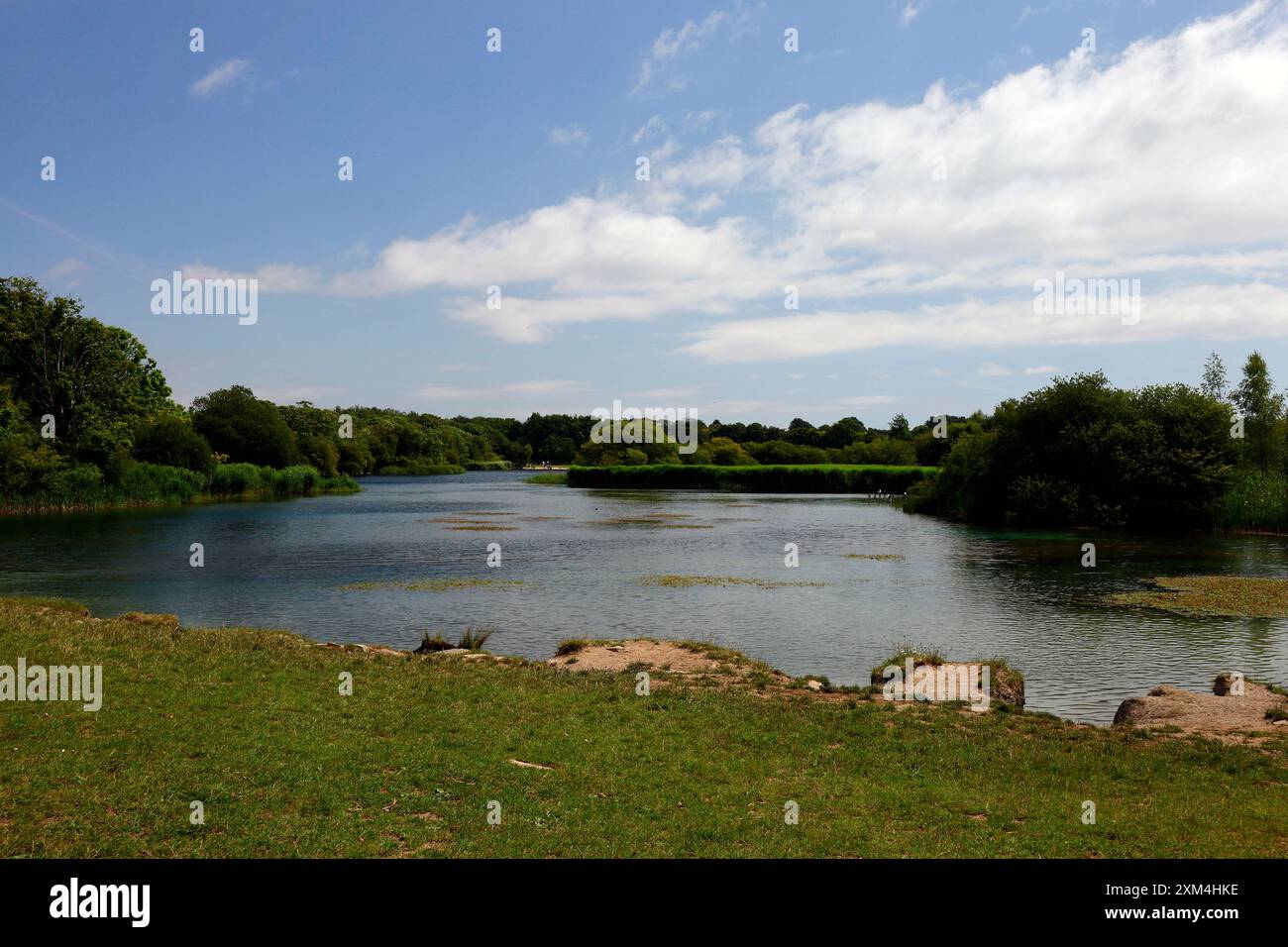 Western Conservation Lake - Cosmeston Lakes and Country Park, Penarth ...