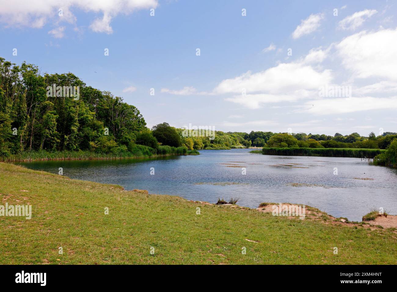 Western Conservation Lake - Cosmeston Lakes and Country Park, Penarth ...