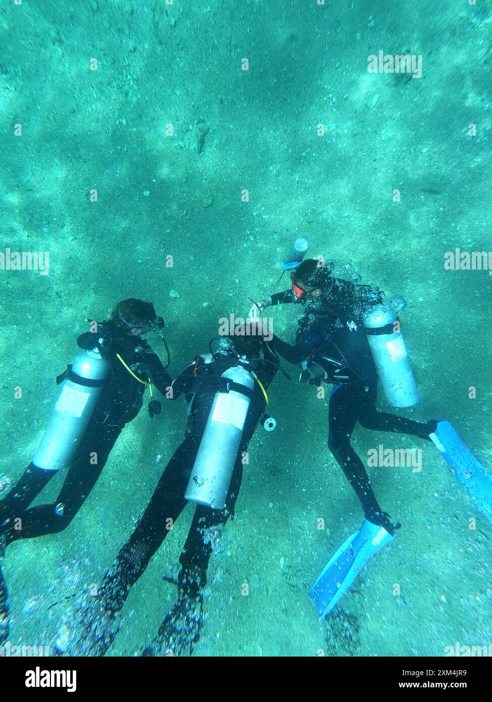 Three divers scuba diving in hi-res stock photography and images - Alamy