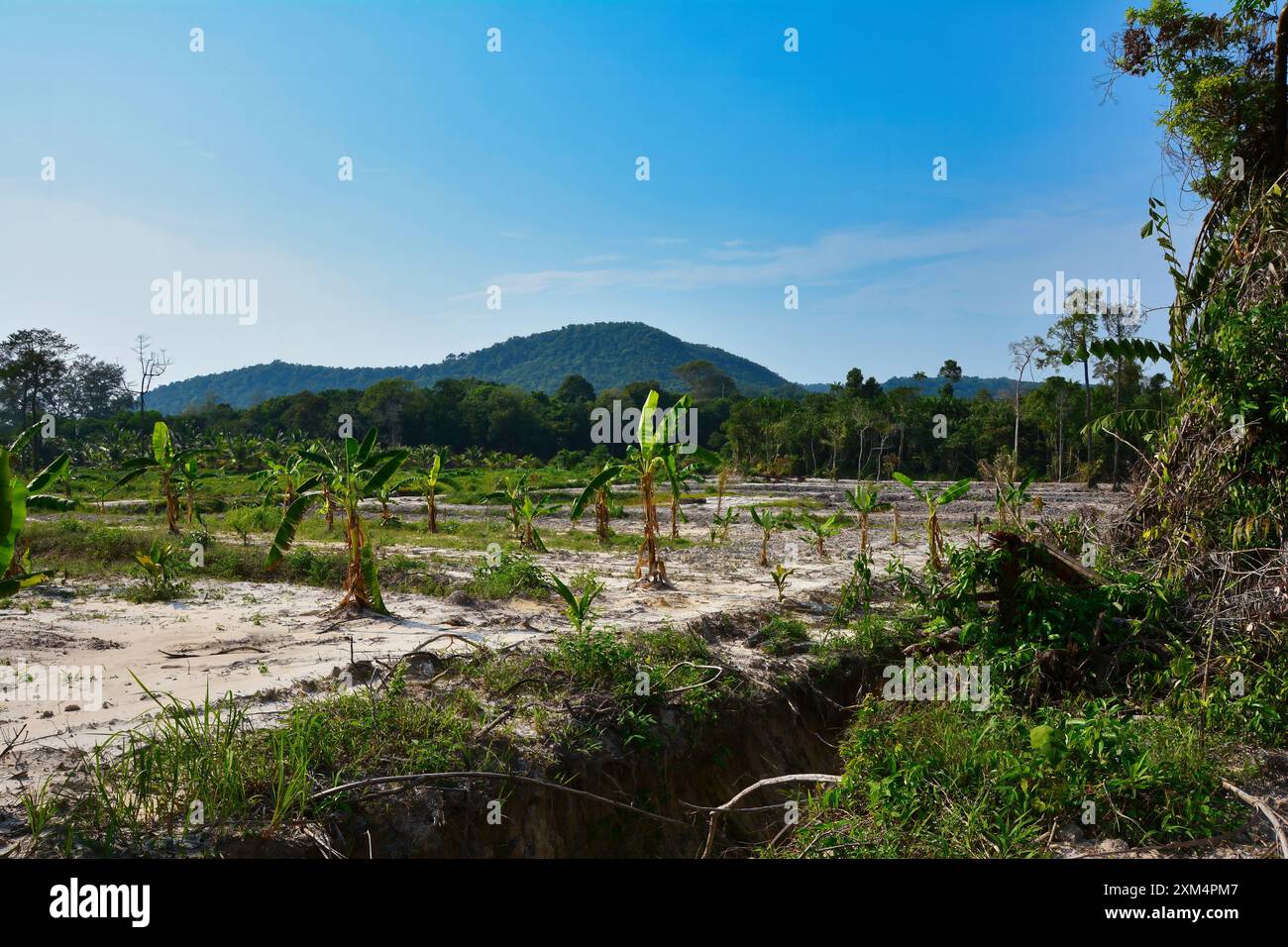 Kaoh Rong Sanloem Khnong island ,Cambodia Stock Photo - Alamy