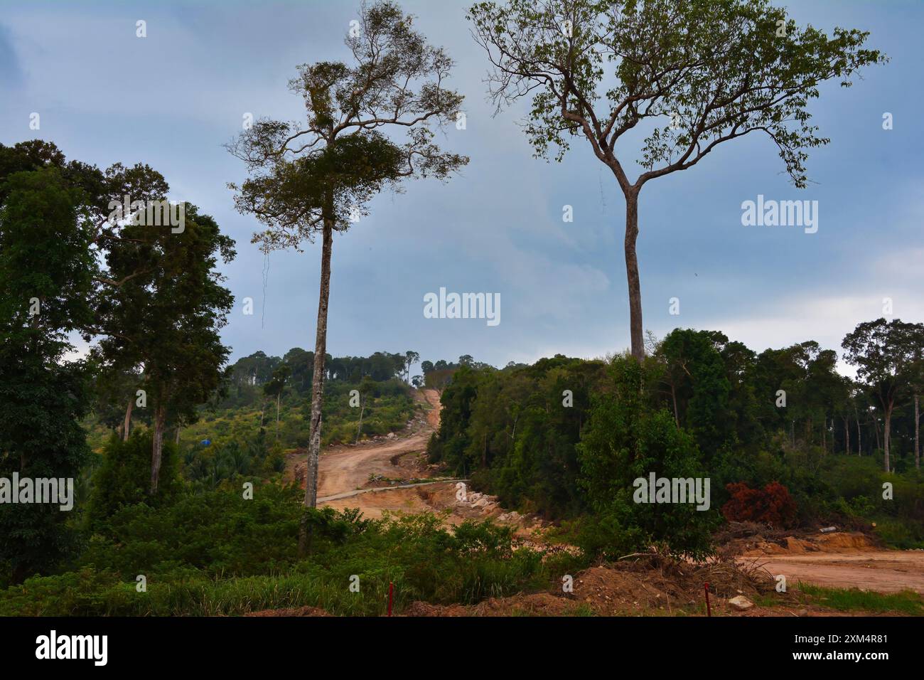 Kaoh Rong Sanloem Khnong island ,Cambodia Stock Photo - Alamy