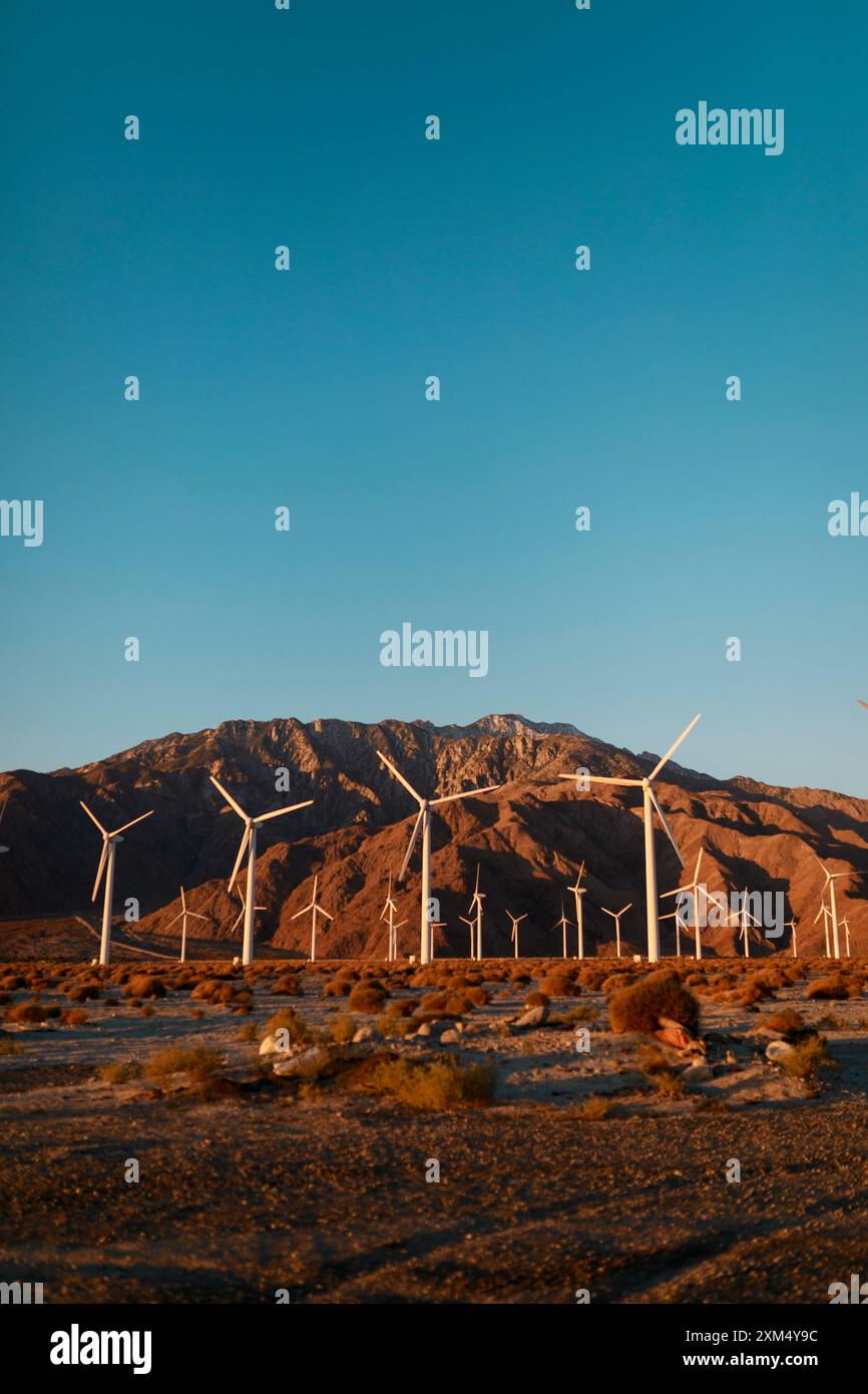 Windmills in the desert of Palm Springs at sunrise Stock Photo - Alamy