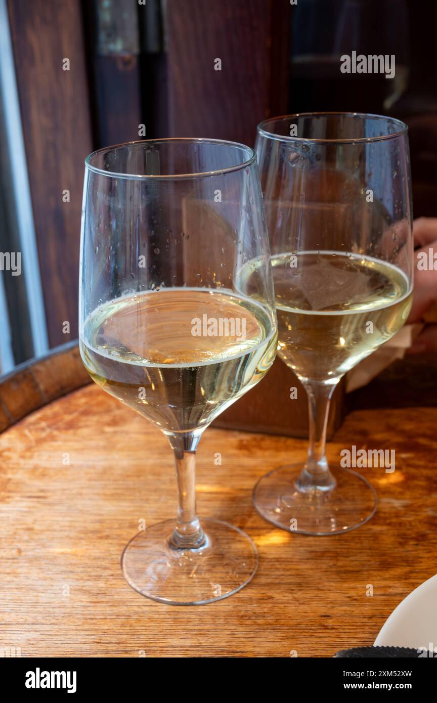 Glasses of txakoli or chacolí slightly sparkling very dry white wine ...