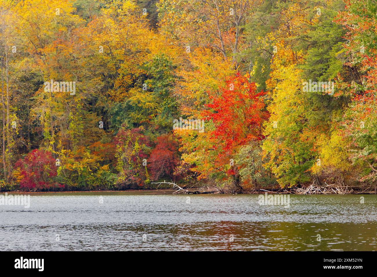 Fall colors next to a lake showing a reflection and a tranquil scene ...