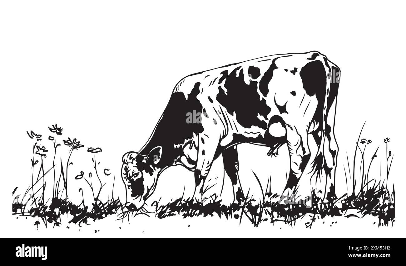 sketch of cow drawn by hand. livestock. cattle. animal grazing Stock ...