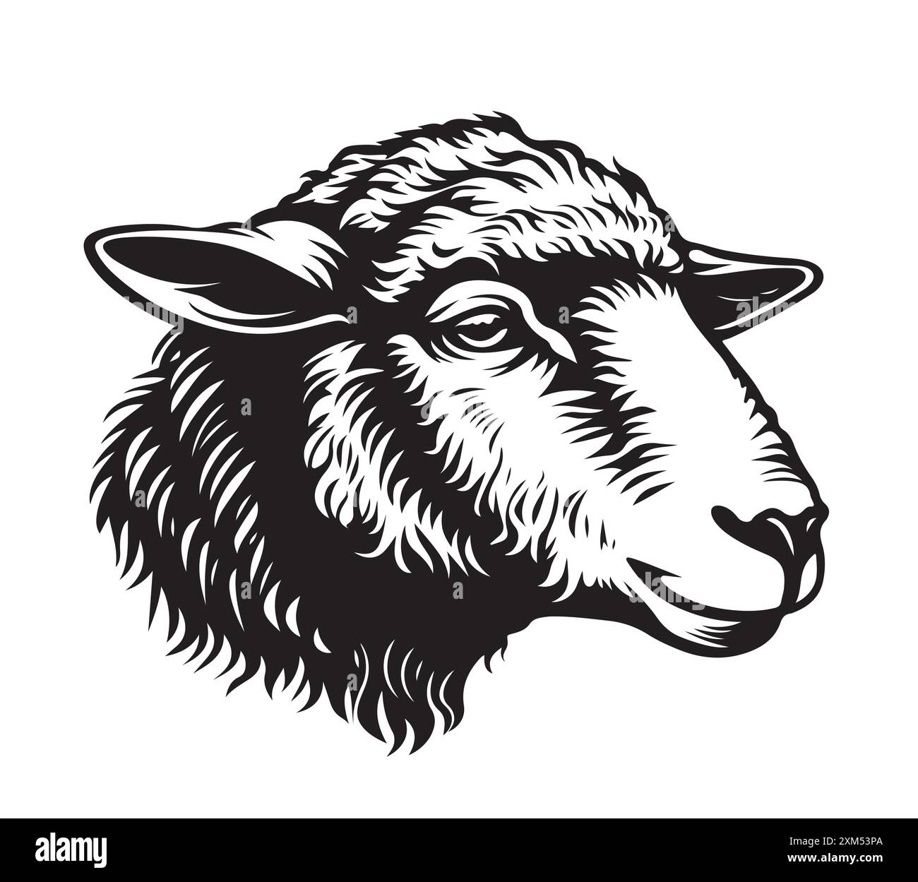 Hand drawn sheep in sketch style. Wool, lamb symbol. Farm animal ...