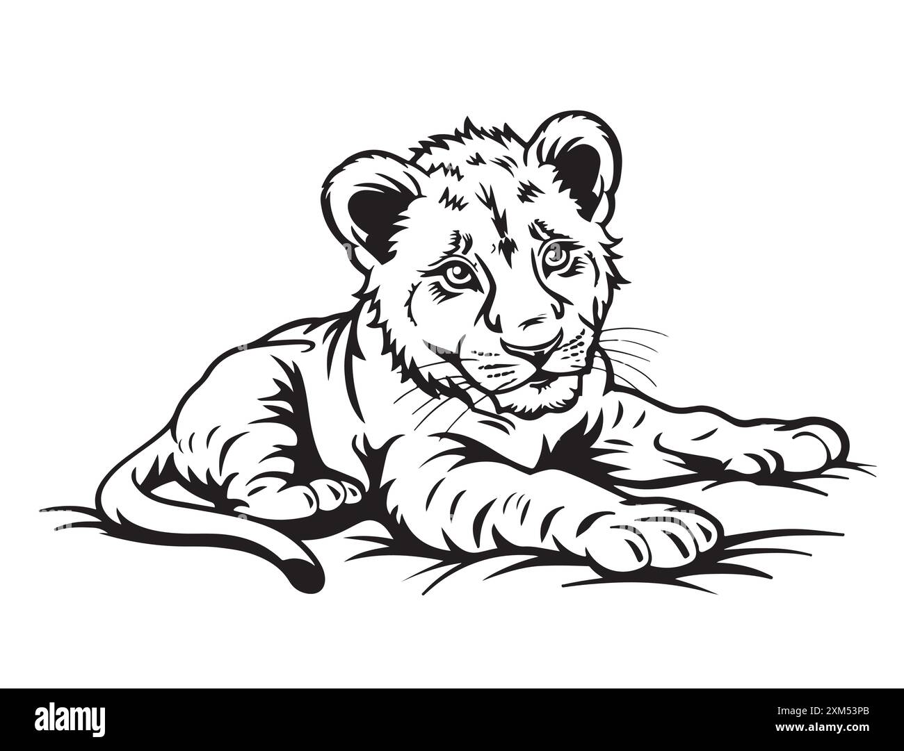 Hand drawn portrait of lion cub . Vector illustration isolated on white ...