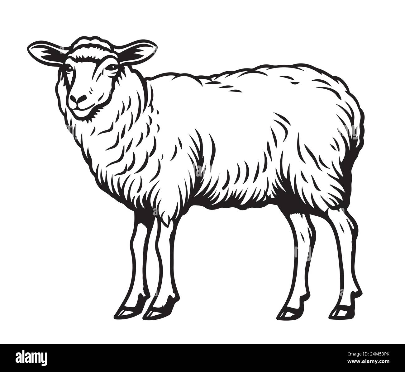 Hand drawn standing sheep in sketch style. Wool, lamb symbol. Farm ...