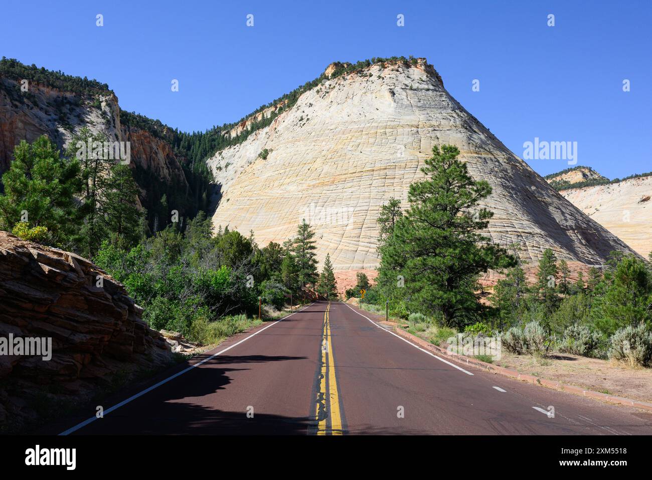 Natural checkerboard pattern hi-res stock photography and images - Alamy