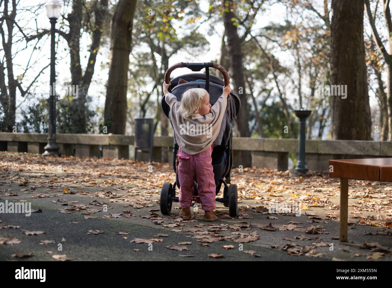 little girl pushing stroller in nature, girl in park walking Stock ...