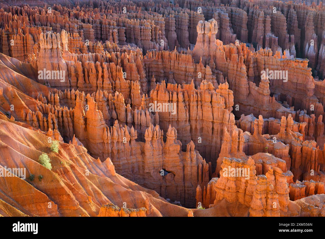Hoodoo rock spires in the amphitheater at Bryce Canyon National Park at ...