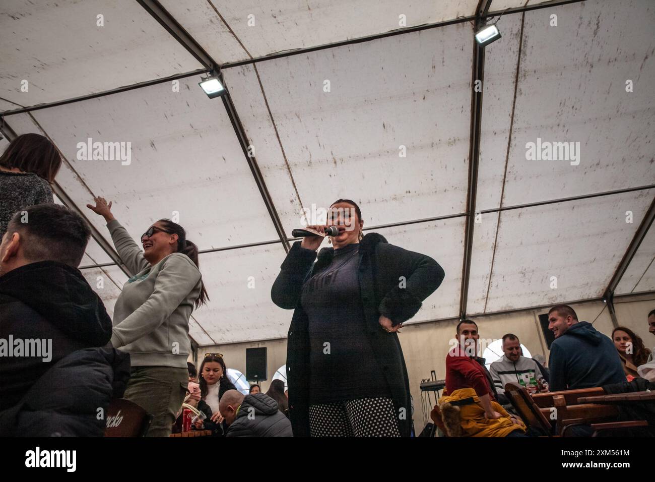 Picture of female singer in a kafana, a serbian bar and restaurant ...