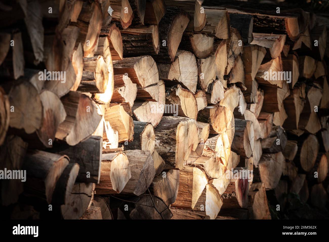 This close-up photograph captures a neatly stacked pile of freshly cut ...