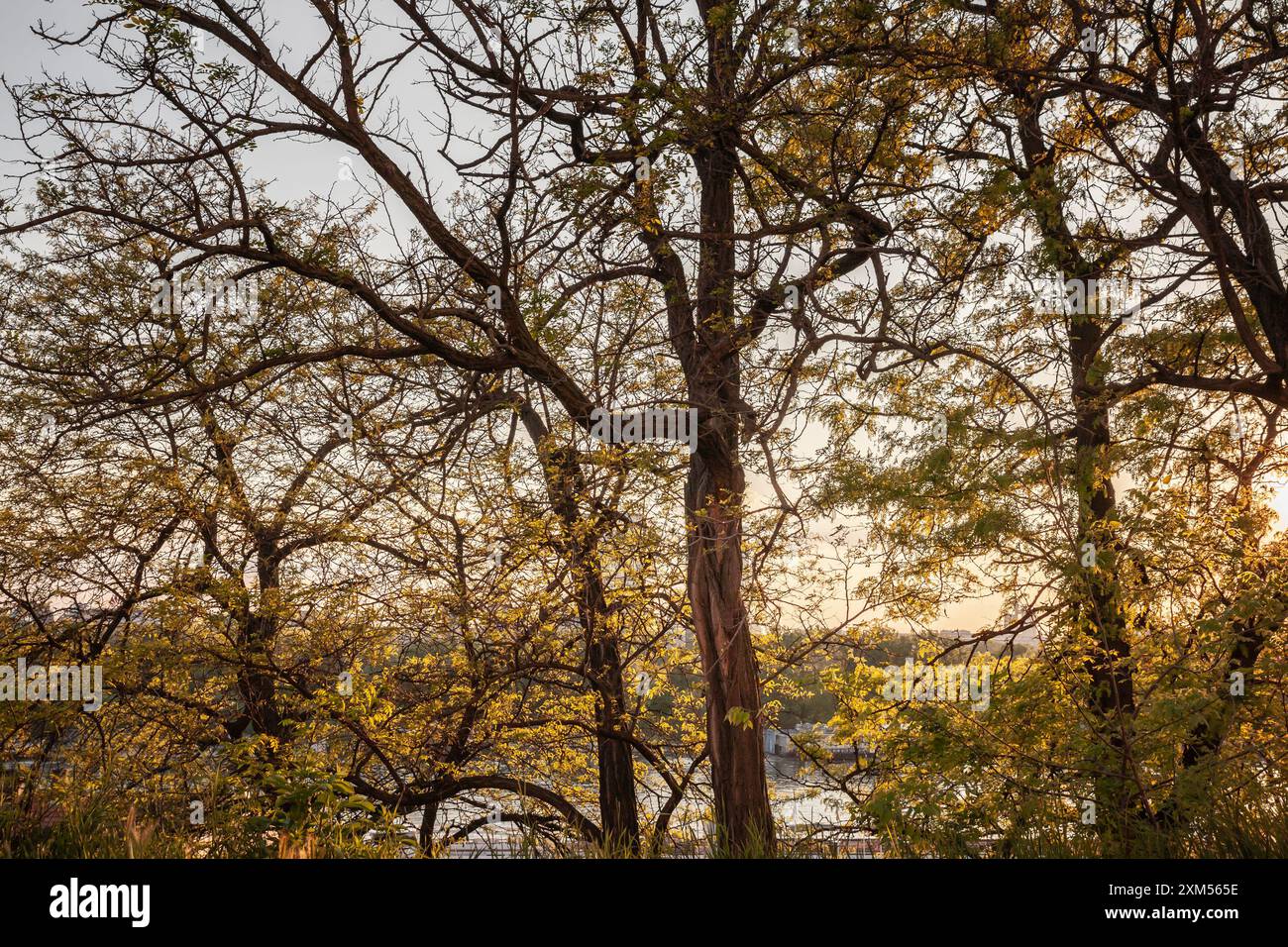 Prolece u beogradu hi-res stock photography and images - Alamy