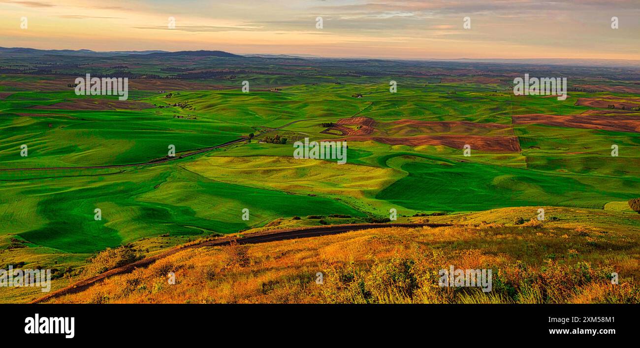 the Palouse wheat fields of Washington State Stock Photo - Alamy