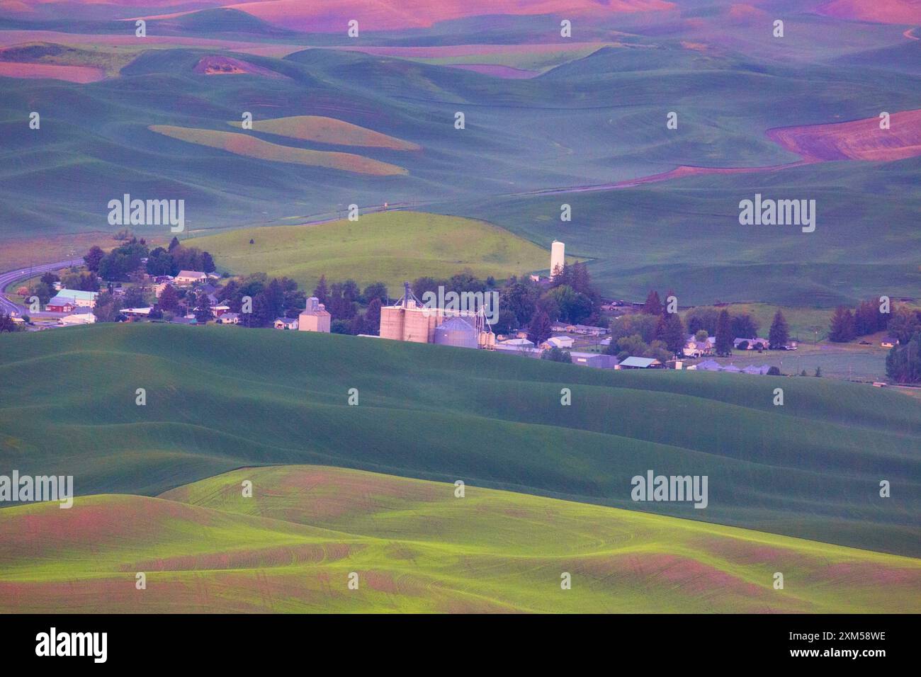 the Palouse wheat fields of Washington State Stock Photo - Alamy