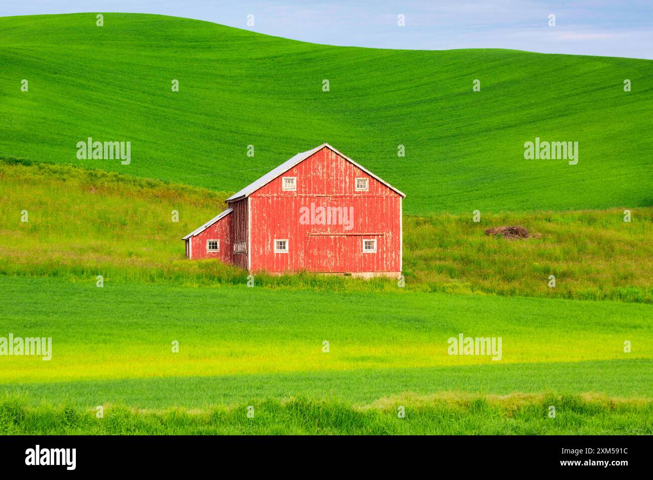the Palouse wheat fields of Washington State Stock Photo - Alamy