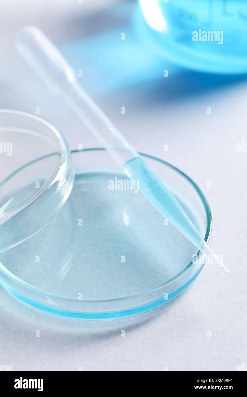 Transfer pipette and petri dish on white background, closeup Stock ...